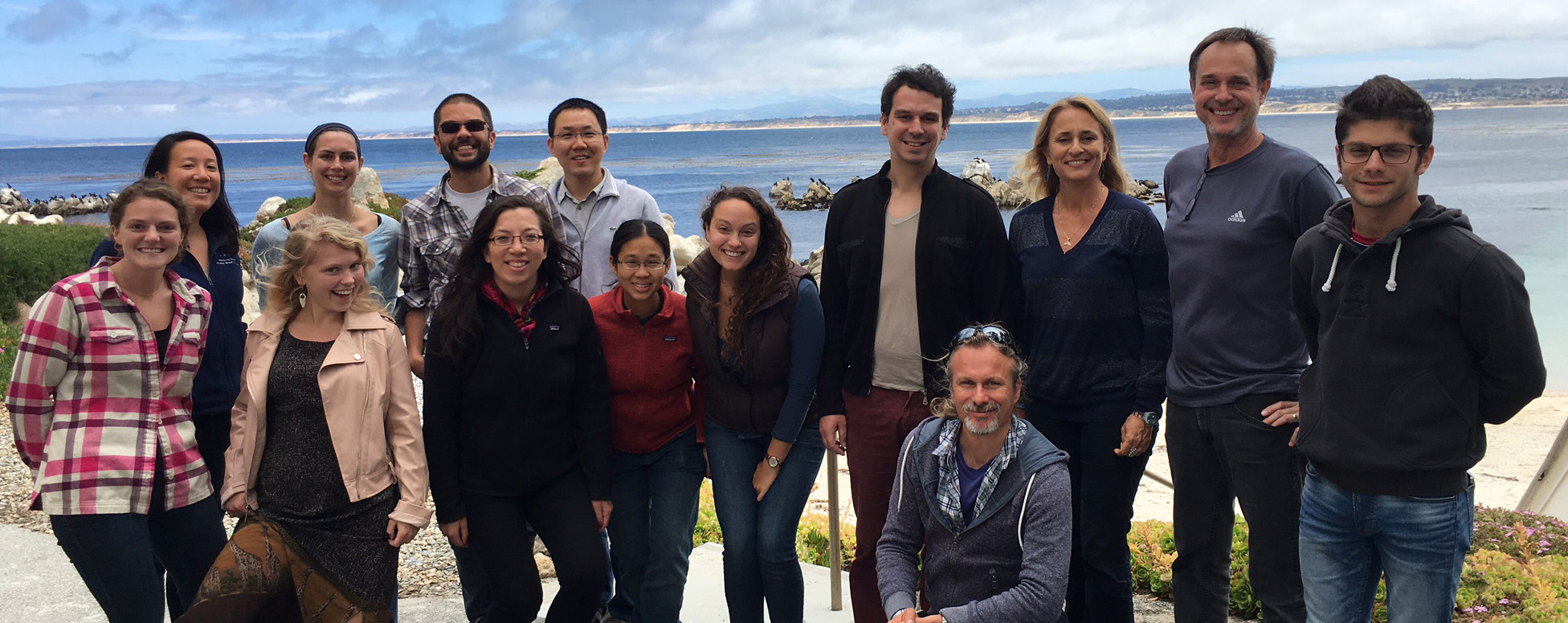 Meta-analysis course at Hopkins Marine Station (Stanford University ...